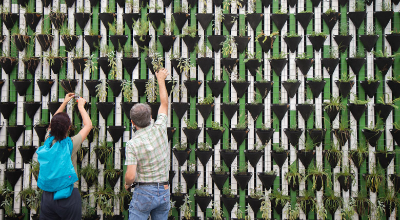 Apa Itu Vertical Garden? Pengertian, Kelebihan, dan Inspirasinya